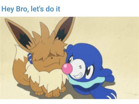 Popplio And Eevee Bouta Kick Some Ass R Eevee