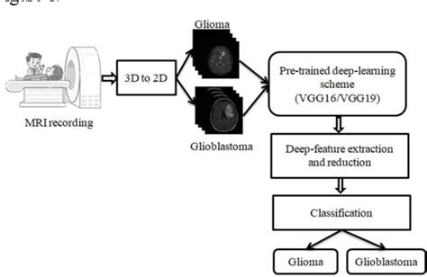 Figure 1 From Gliomaglioblastoma Detection In Brain Mri Using Pre Trained Deep Learning Scheme