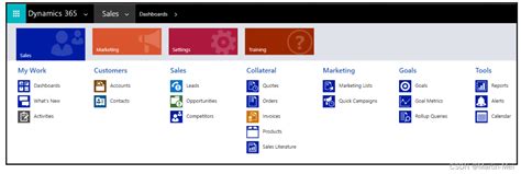 dynamics 365应用程序开发 1 自定义应用程序导航 dynamics365 guides如何集成到自己开发的程序中 csdn博客