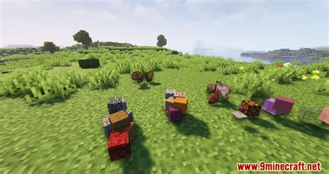 Configurable Despawn Timer Mod 1minecraft