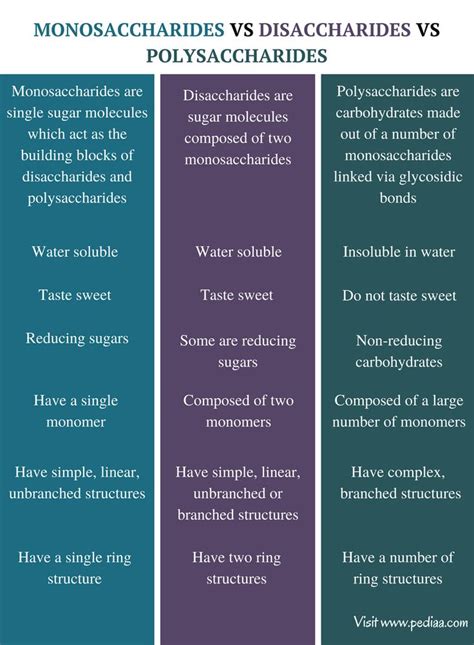 Monosaccharides Disaccharides And Polysaccharides Understanding The