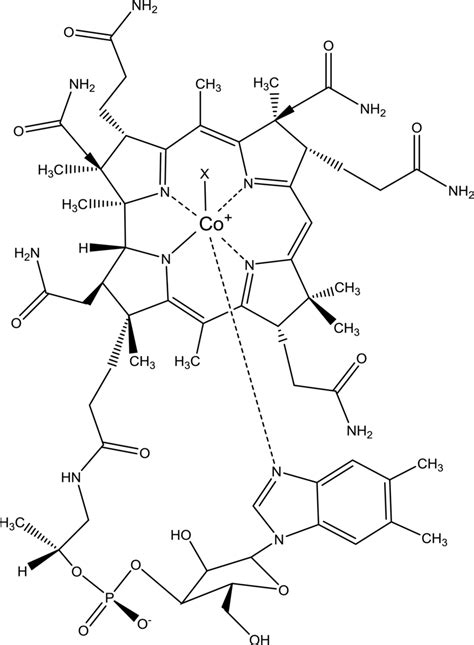 Structure Of Vitamin B12 Analogues Comprise Cyanocobalamin X Cn Download Scientific Diagram