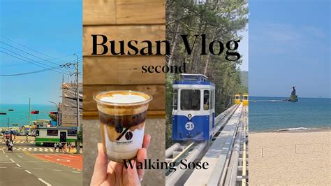 Vlog 부산브이로그 걷는소세 부산여행 뚜벅이여행 부산브이로그 두번째 ️ 솔밭집 할매집원조복국 Youtube