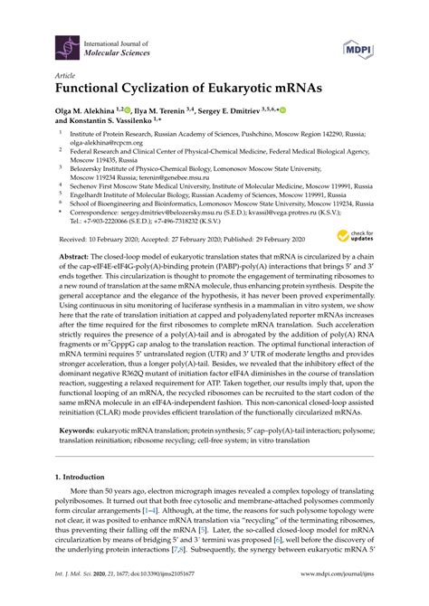Pdf Functional Cyclization Of Eukaryotic Mrnas