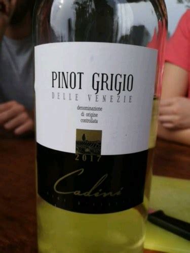 Cadini Pinot Grigio | Vivino US