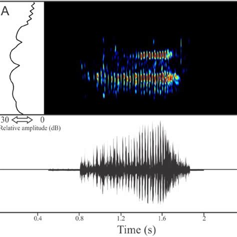 Amplitude Spectra Spectrogram And Waveform Of The Advertisement Call