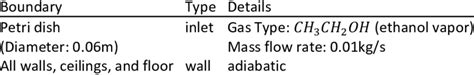 Boundary Condition Of The Cfd Model Download Scientific Diagram
