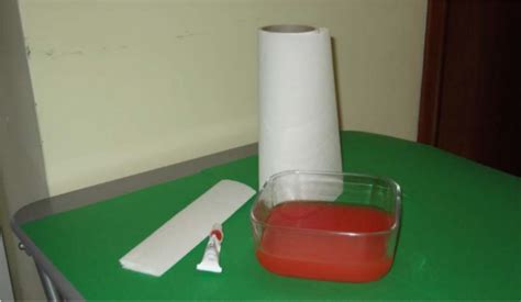 La Capillarità Dellacqua Ii Scienza On Air