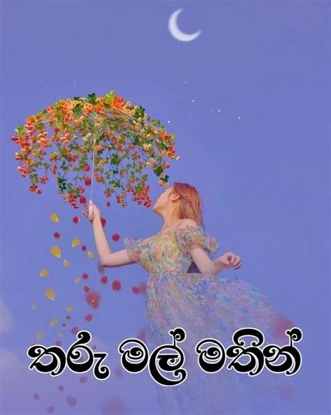 Rishuuu Episode 0️⃣7️⃣ කට්ටිය තැන් තැන් වලට වෙලා හූල්ල හූල්ල ඉන්නවා පව් ඉතින් මාත් තාත්තාගෙ