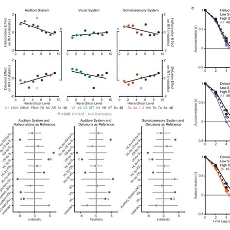 Hallucination And Delusion Effects On Intrinsic Neural Timescales Are