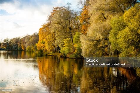 화창한 날씨에 호수와 아름 다운가 공원입니다 아름 다운가 풍경입니다 빨간색과 노란색 색상에 아름 다운 숲과 호수 Naturecolorful 경 엽의 구성 가 시즌 자연 개념