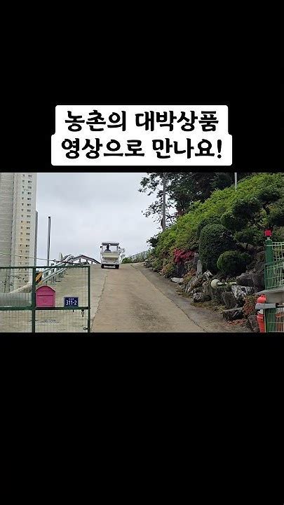 요즘 뜨는 리폼중고골프카트농기계전문채널농기계엔테크농업용운반차친환경리폼골프카트중고골프카트중고골프카트매장 Youtube