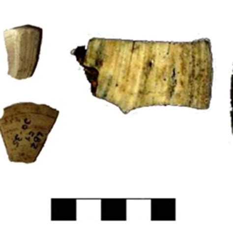 Archaeological Regularized Shell Edges Of Diplodon R Variabilis Download Scientific Diagram