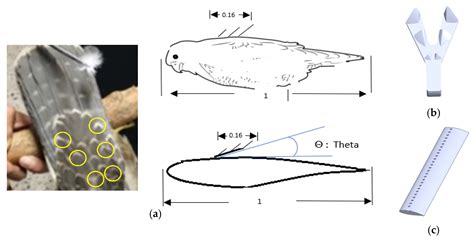 Experimental Analysis Of Bio Inspired Vortex Generators On A Blade With S822 Airfoil