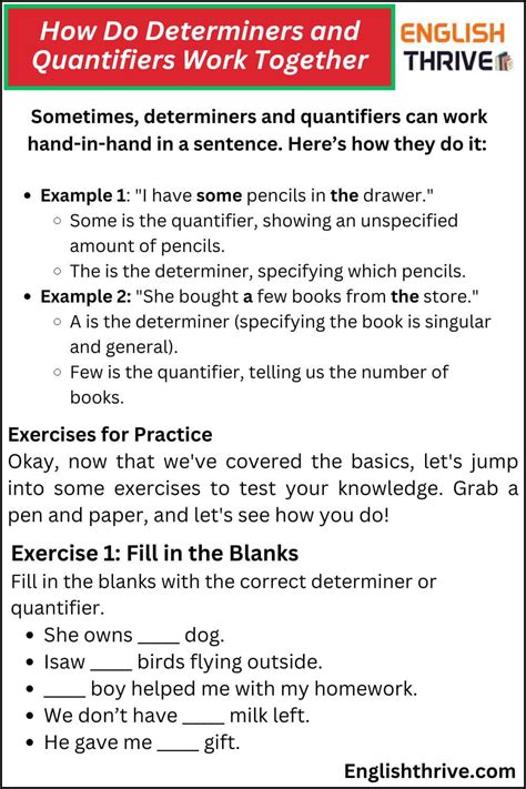 A Deep Dive Into Determiners And Quantifiers In English