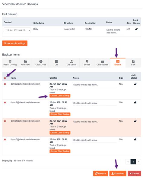 How To Restore Backups Using JetBackup 5 In CPanel