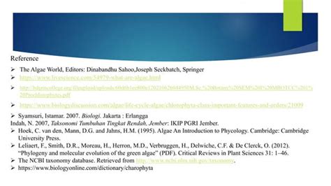 Introduction To Algae Ppt Pptx