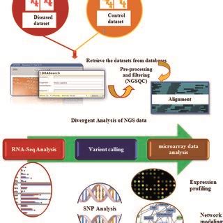 Schematic Representation Of The Process Steps Of The NGS Of Clinical Data Download Scientific