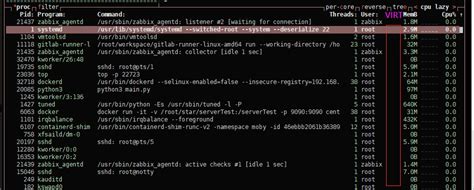 Virtual Memory Usage Information Of Process · Issue 471 · Aristocratosbtop · Github