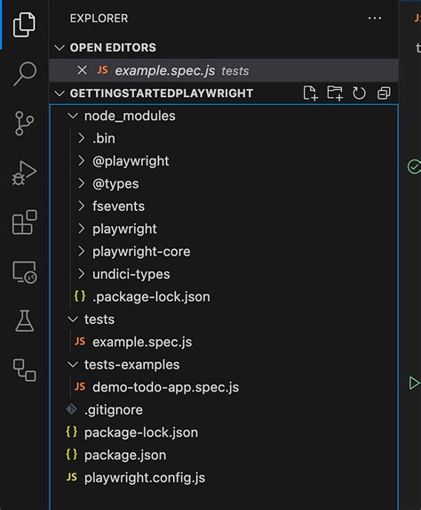 Getting Started With Playwright Test Automation In Macbook By Testers