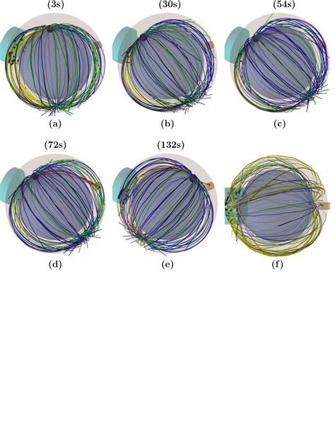 Snapshots From The Time Evolution Of The Mt Cytoskeleton Configuration