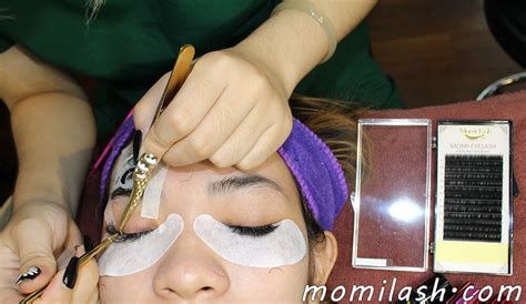 How To Apply Eyelash Extensions Step By Step Momi Co Ltd