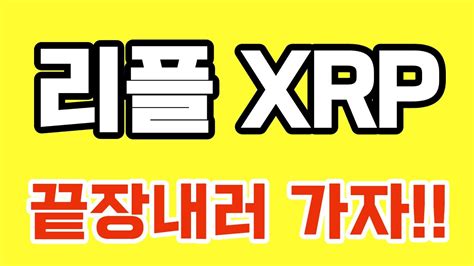 리플 Xrp 리플 끝장내러 가자 Youtube