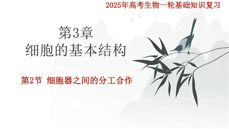 【2025年高考生物知识点题型及考项复习】人教版（2019）必修一 3 2 细胞器之间的分工合作 共48张ppt 21世纪教育网