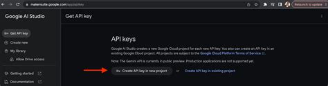 How To Use Google Gemini With Node Js And TypeScript
