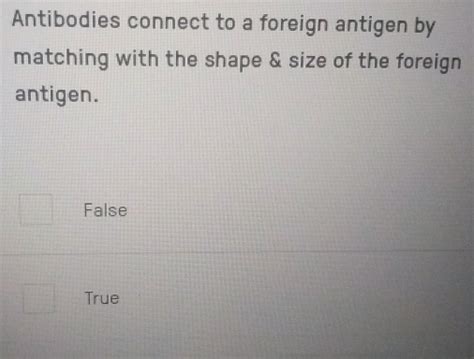 Antibodies Connect To A Foreign Antigen By Matching With The Shape