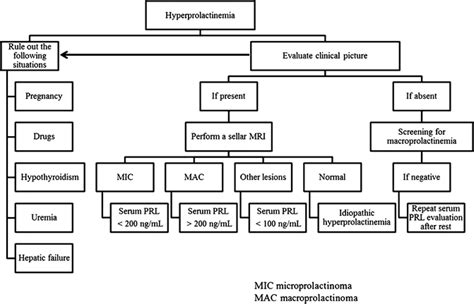 Hyperprolactinemia Springerlink
