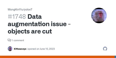 Data Augmentation Issue Objects Are Cut · Issue 1748 · Wongkinyiu