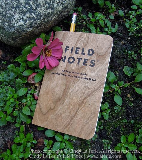 Writing your life stories | Cindy La Ferle's Life Lines