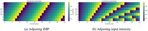 rethinking the membrane dynamics and optimization objectives of spiking