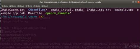 【opencv】如何在linux操作系统下正确安装 opencv sarpro的技术博客 51cto博客
