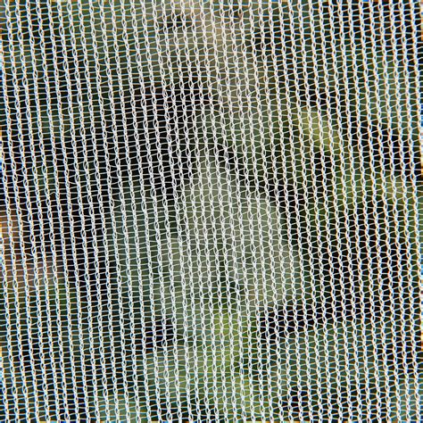 Anti Insect Net Backyard Farmer