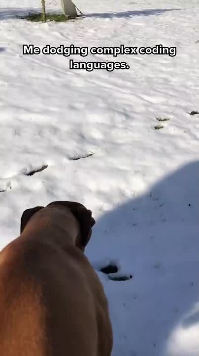 nocode simplifytech innovationunleashed digitalbuilders ucalgary nocode