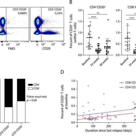 Effect Of Ocrelizumab On Cd3 Cd20 T Cells Download Scientific Diagram