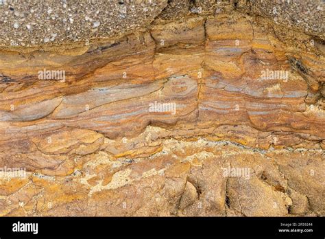 Beautiful Sandstone At Salt Point State Park California USA