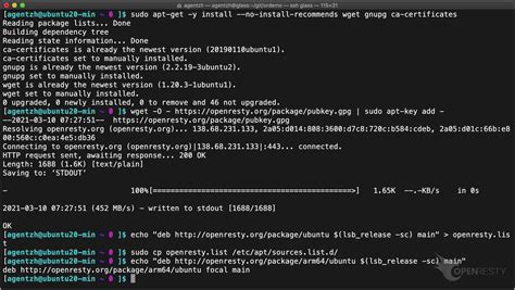 Install OpenResty On Ubuntu 20 04 Via Apt Get OpenResty Official Blog