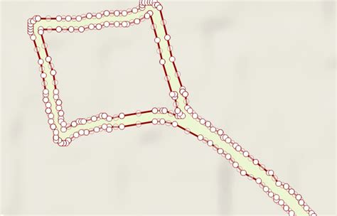 C Split Polygon Lines Or Remove Neighboring Line Calculate