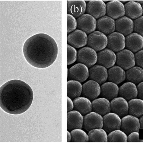 Pbmam Latex A Tem Core Shell Structure B Sem Particle Distribution Download Scientific