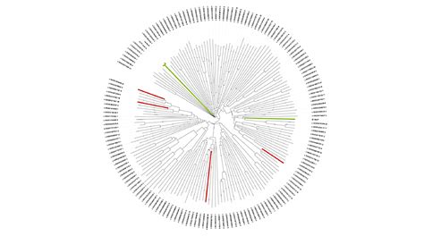 Metagenome Mining And Functional Analysis Reveal Oxidized Guanine Dna Repair At The Lost City
