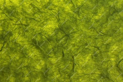 Premium Photo Textuer