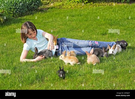 Young Girl With Domestic Rabbit Kits Alsace France Model Released