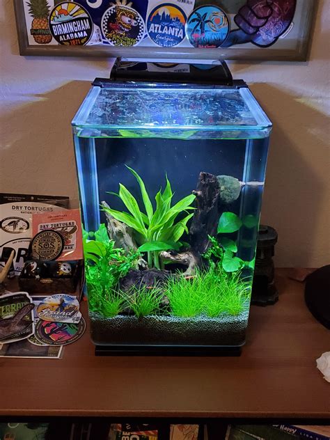 Been Stalking For A While Now Here S My G Shrimp Tank Thoughts Are Welcome R Plantedtank
