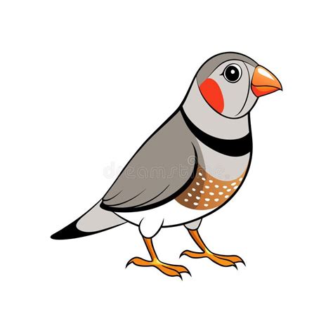 stunning zebra finch bird realistic artwork stock illustration