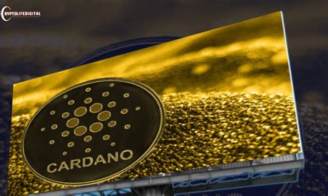 Cardano Update Iohk Unveil Significant Strides In The Cardano Ecosystem Cryptolifedigital