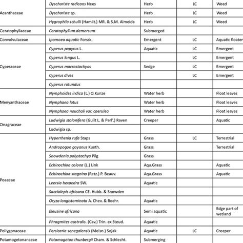 List Of Macrophytes In Chimba Wetlands Local Status Lake Tana Area