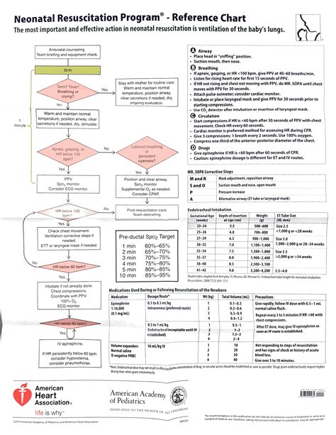 Nrp Resuscitation Flow Diagram 7th Edition Nrp 7th Edition F
